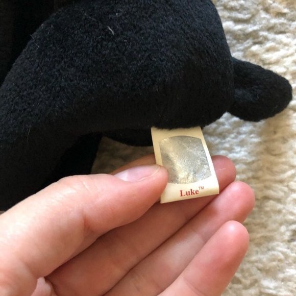Beanie Babies | Accessories | Ty Beanie Baby Luke The Black Lab | Poshmark